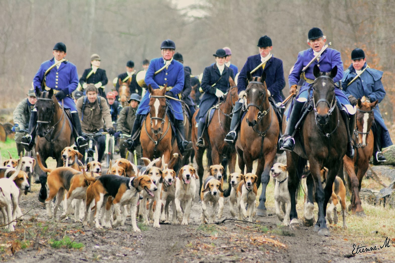 Amis de vénerie: Chasse du 08 Février